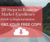 The FMCG Leaders Guide to Route to Market Strategy & Execution in 20 Steps