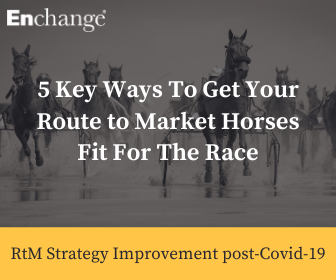5 Key Ways To Get Your Route to Market Horses Fit For The Race