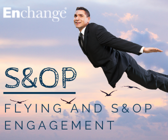 S&OP: Flying and S&OP Engagement