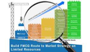 Can I Build a Winning FMCG Route to Market Strategy on Limited Resources?
